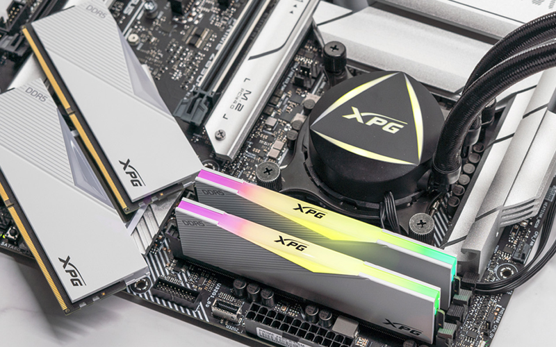 Shop XPG Caster RGB 32GB (2 x 16GB) DDR5 6000MHz CL30 Memory - Black ...
